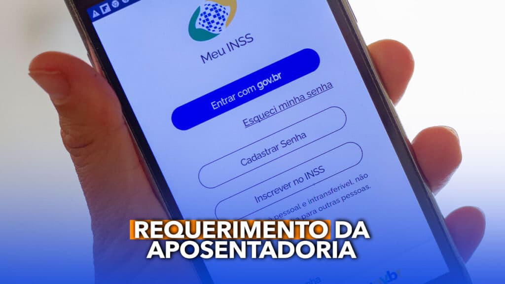 Modelo De Requerimento Da Aplicacao Da Acp.Nacional Para O Inss Guia ...