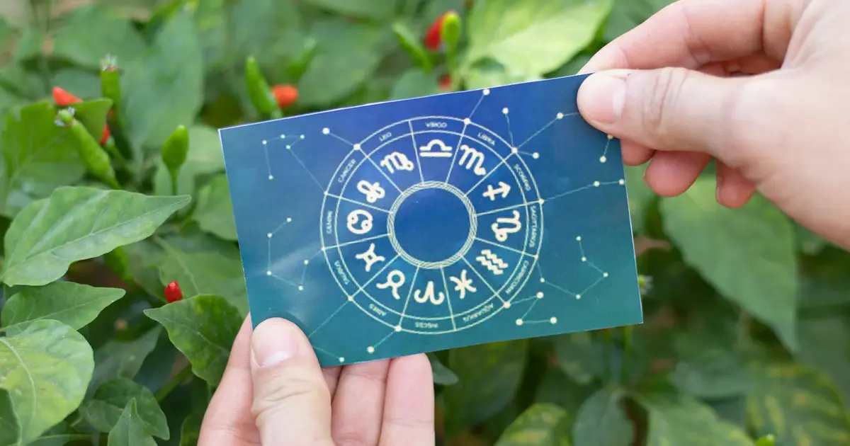 Descubra o que a ASTROLOGIA tem a dizer sobre o seu SIGNO no mês de outubro